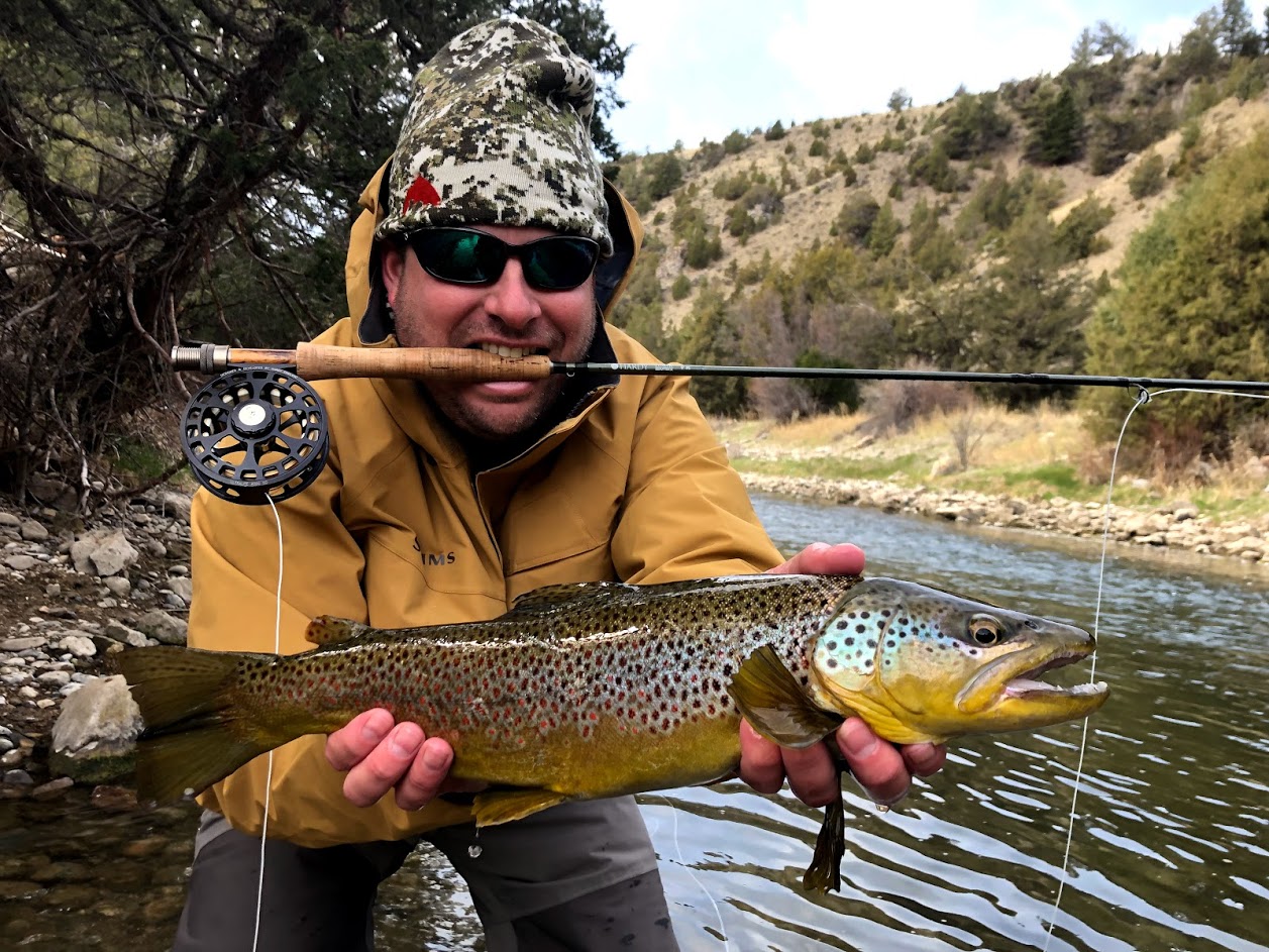 Montana Fly Fishing Gallery | Bozeman's Trout On The Fly